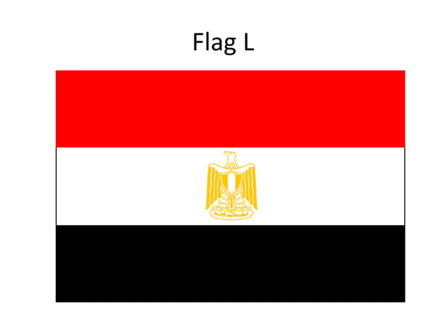 Dichotomous keys.flags of africa presentation | PPT