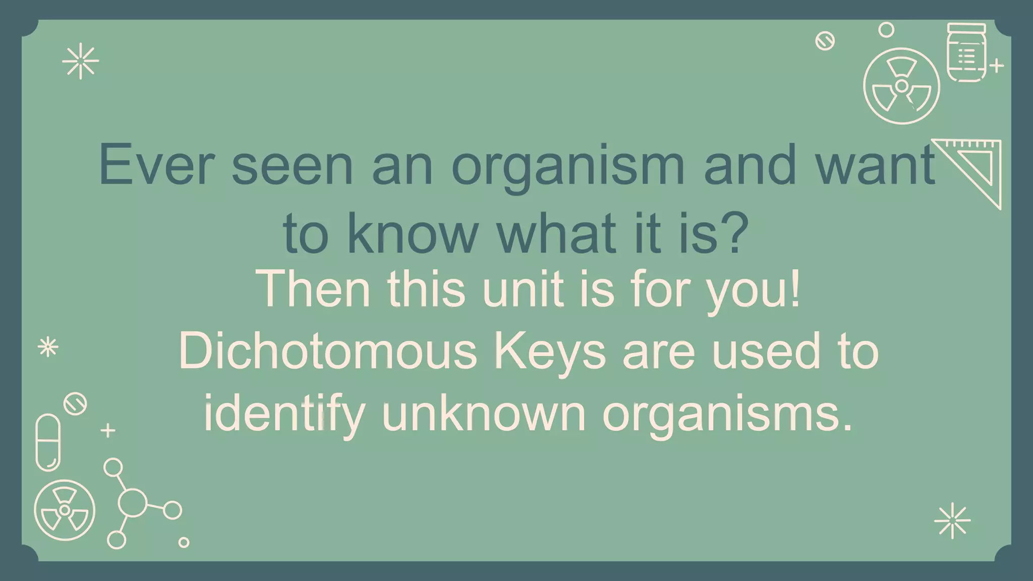 Dichotomous keys lesson | PPTX