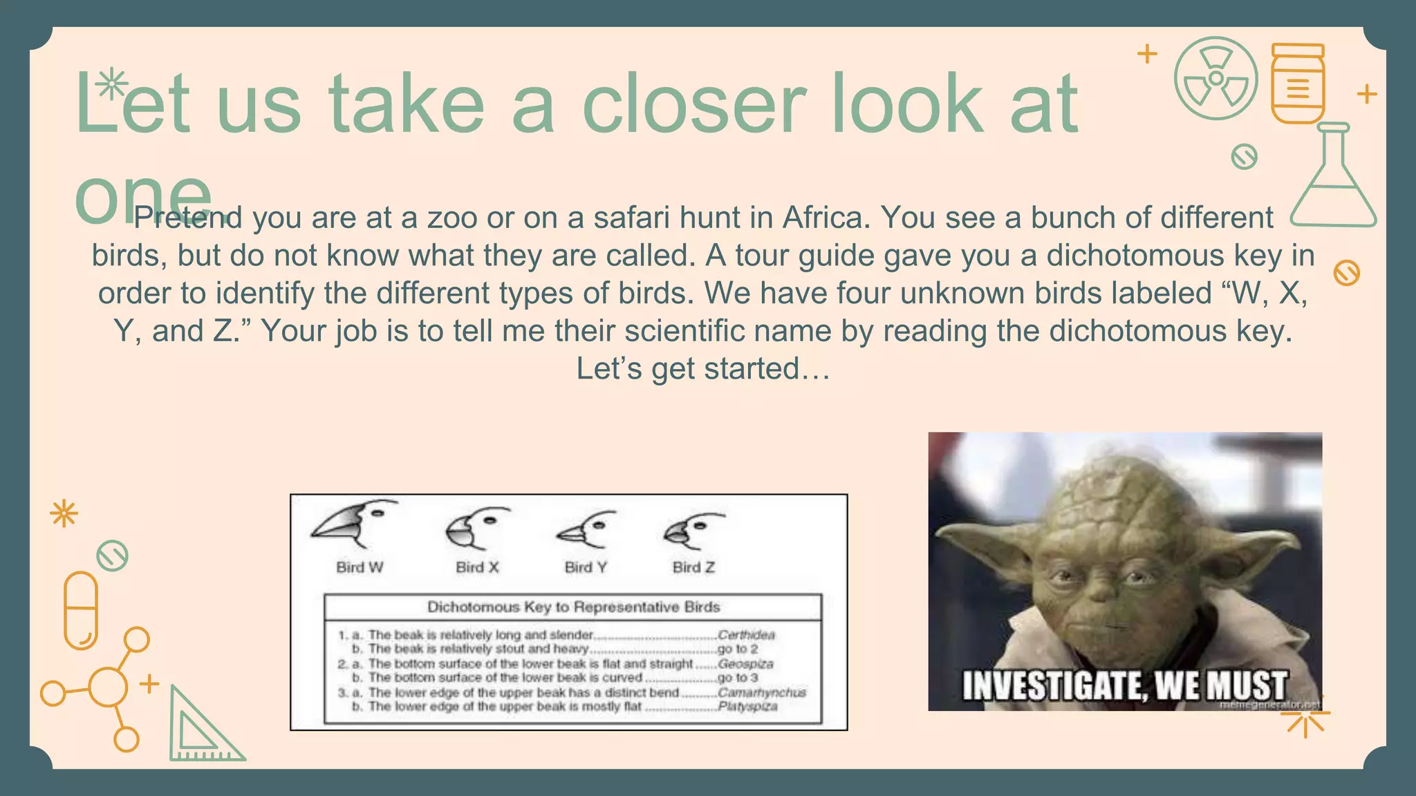 Dichotomous keys lesson | PPTX