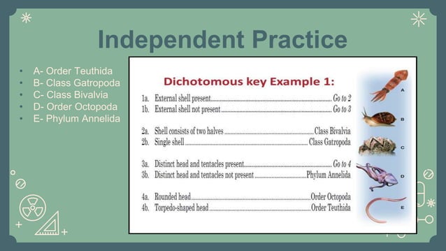 Dichotomous keys lesson | PPTX | Gardening | Home & Garden