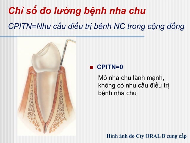 Dich te hoc va phong ngua benh rang mieng | PDF