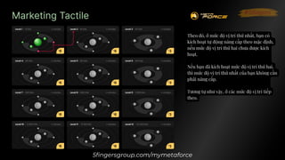 File Tiếng Việt - Tactile Matrix Marketing | PDF