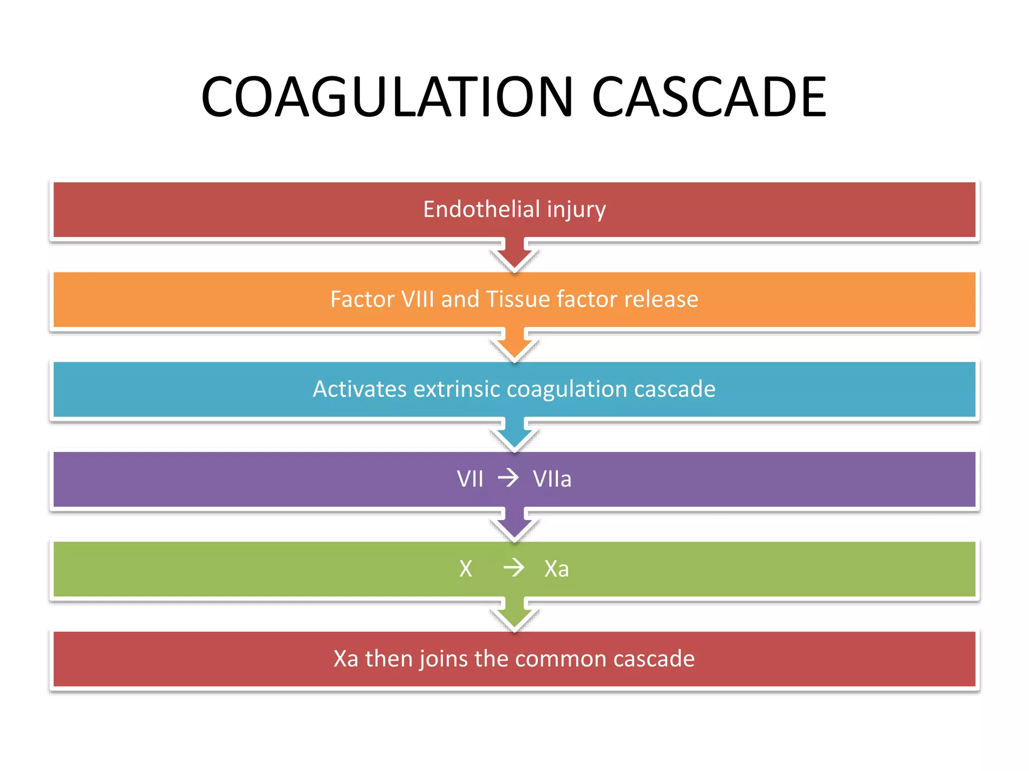 DIC in Pregnancy(intro).pptx