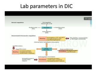 DIC in Pregnancy(intro).pptx
