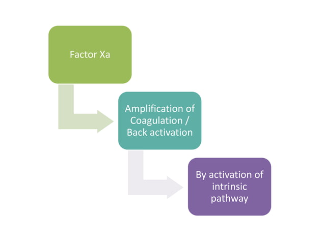 DIC in Pregnancy(intro).pptx | Blood Disorders | Diseases and Conditions