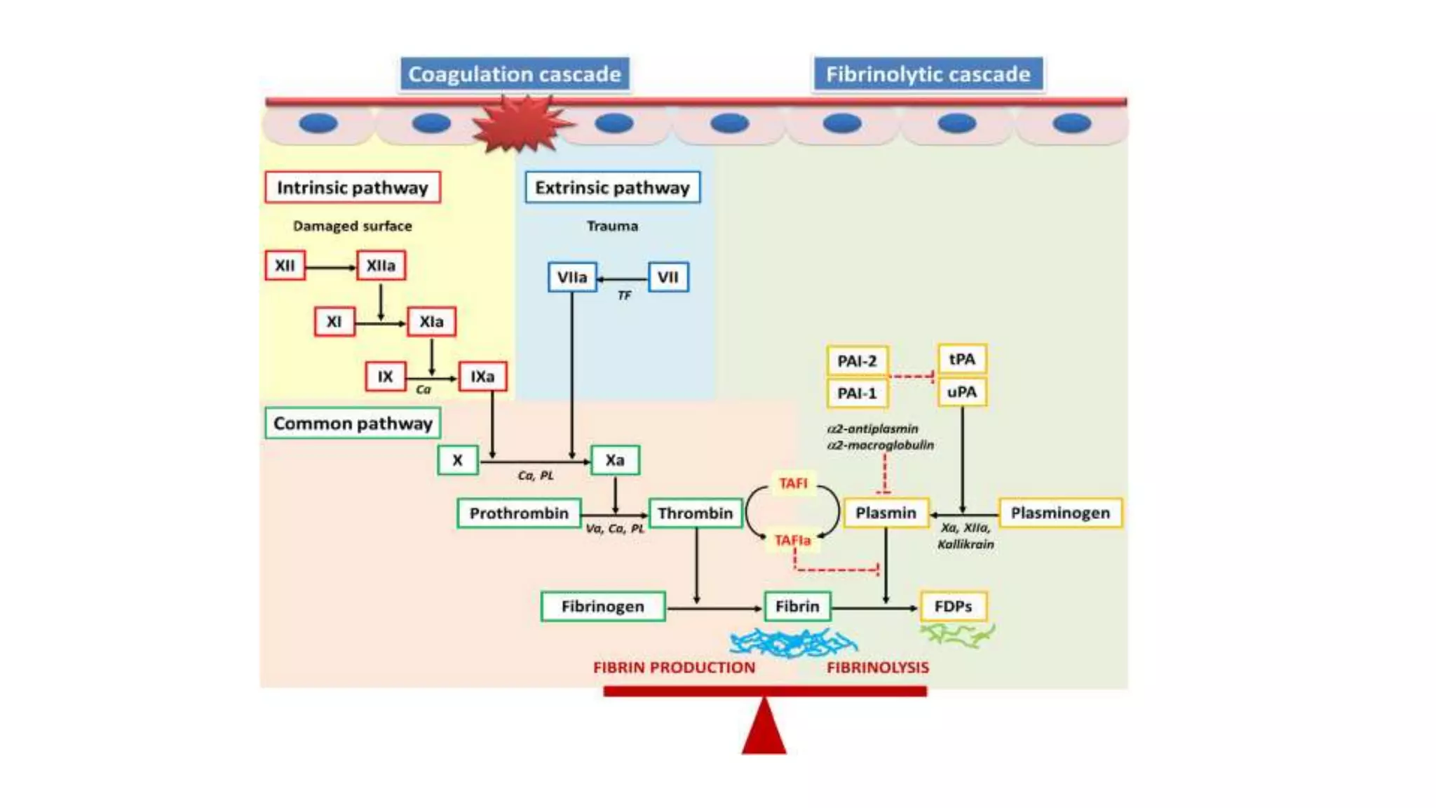 DIC INTRODUCTION.pptx