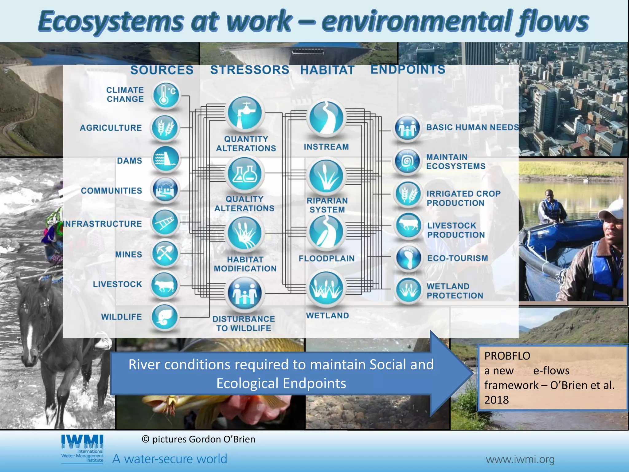 Ecosystems based water management: From innovation to practice | PDF ...