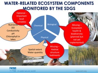 Ecosystems based water management: From innovation to practice | PDF ...