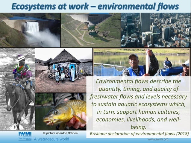Ecosystems based water management: From innovation to practice | PDF ...