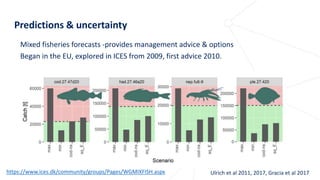 Dickey-Collas introduction to ecosystem based management EBM.pptx
