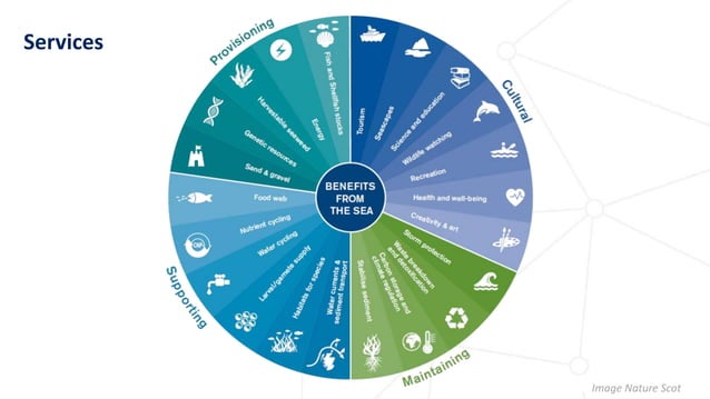 Dickey-Collas introduction to ecosystem based management EBM.pptx