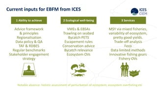 Dickey-Collas Stock assessments-the rock of EBFM.pptx