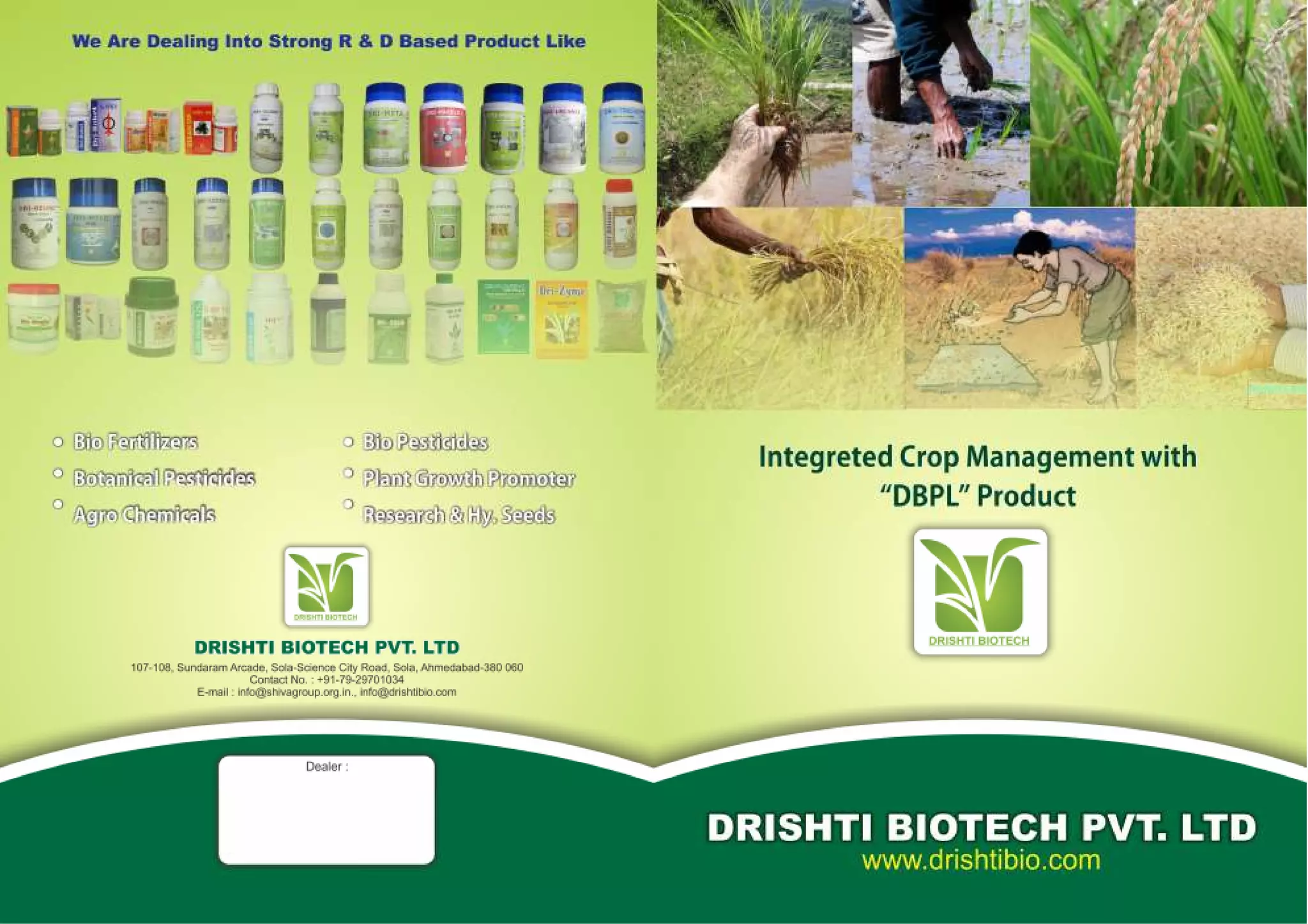 Dicm paddy (rice) catalogue | PDF