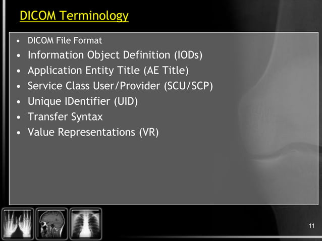 DICOM Structure Basics | PPTX