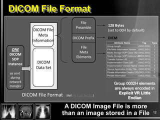 DICOM Structure Basics | PPTX