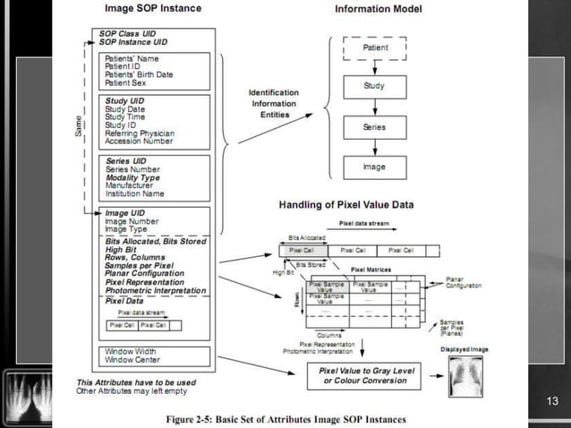 DICOM Structure Basics | PPTX