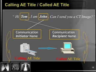 DICOM Structure Basics | PPTX