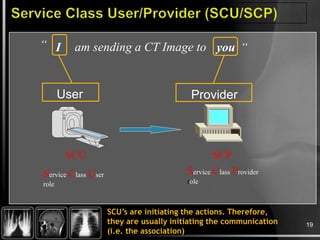 DICOM Structure Basics | PPTX