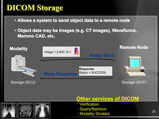 DICOM Structure Basics | PPTX