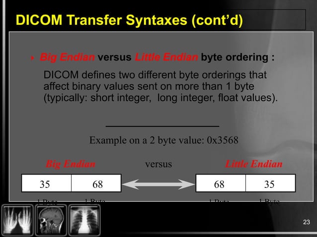DICOM Structure Basics | PPTX