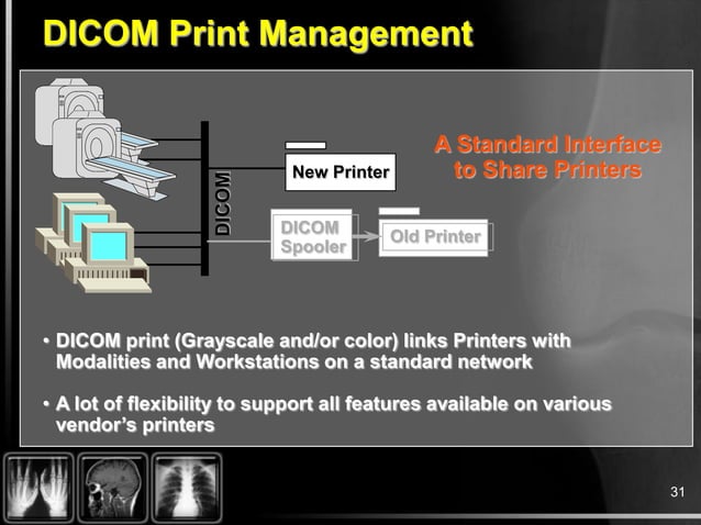 DICOM Structure Basics | PPTX