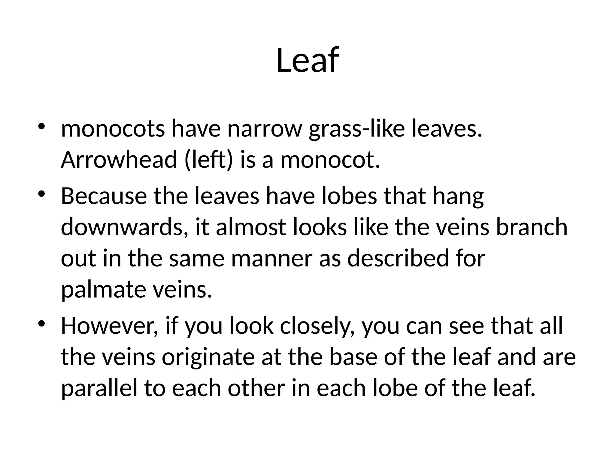 Basic difference between Dicot and Monocot.pptx