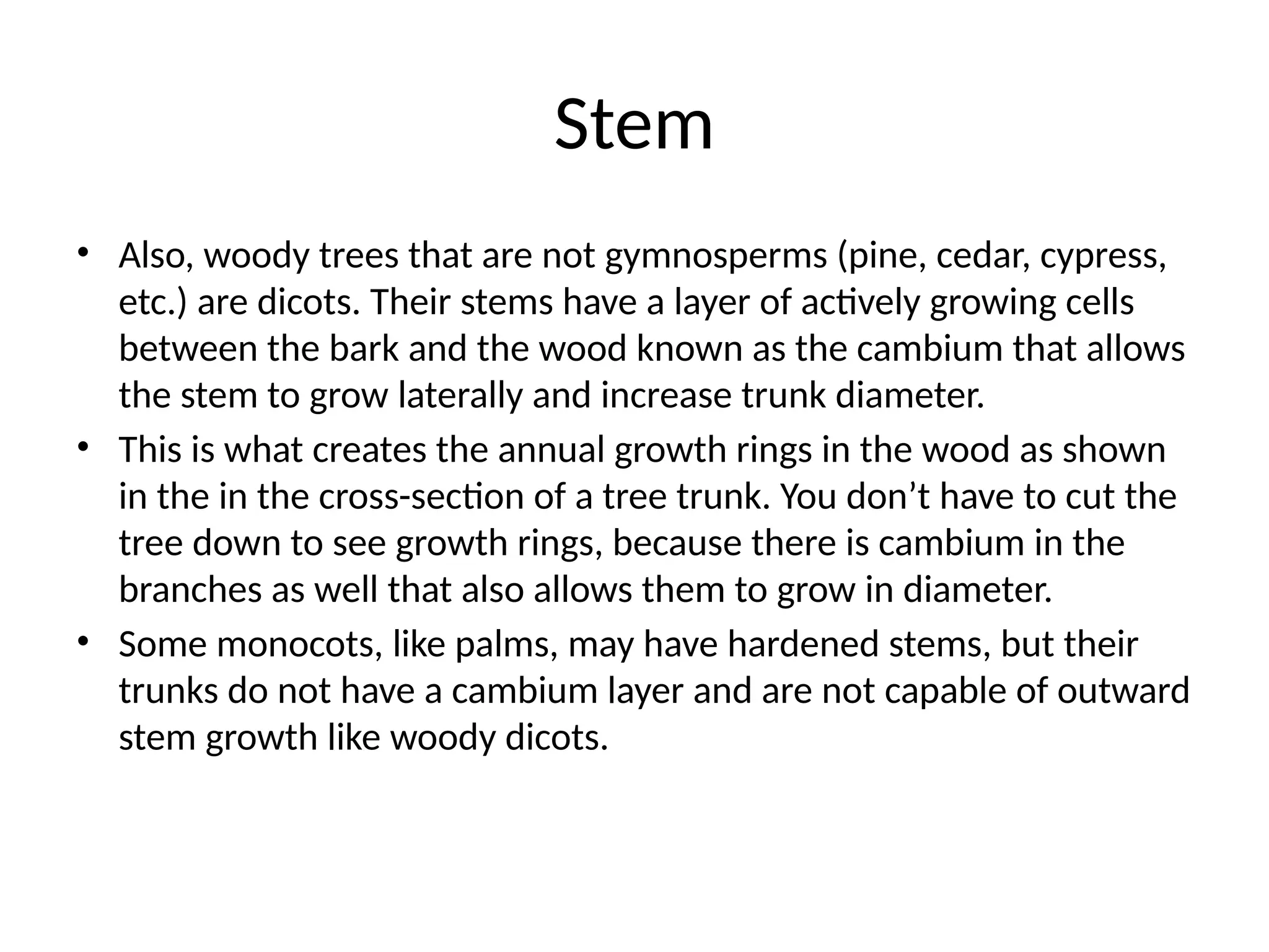 Basic difference between Dicot and Monocot.pptx