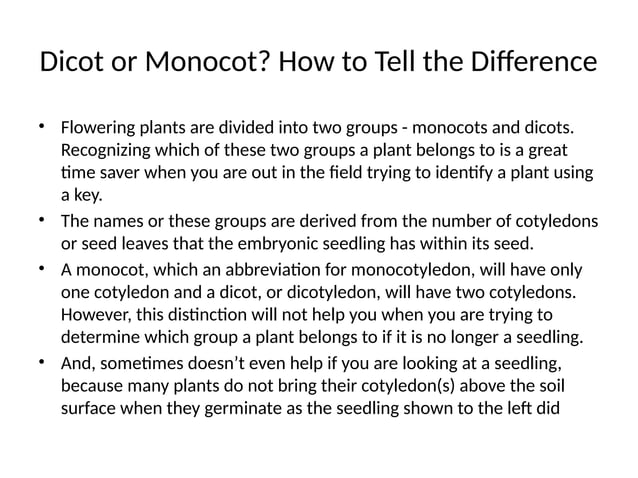 Basic difference between Dicot and Monocot.pptx