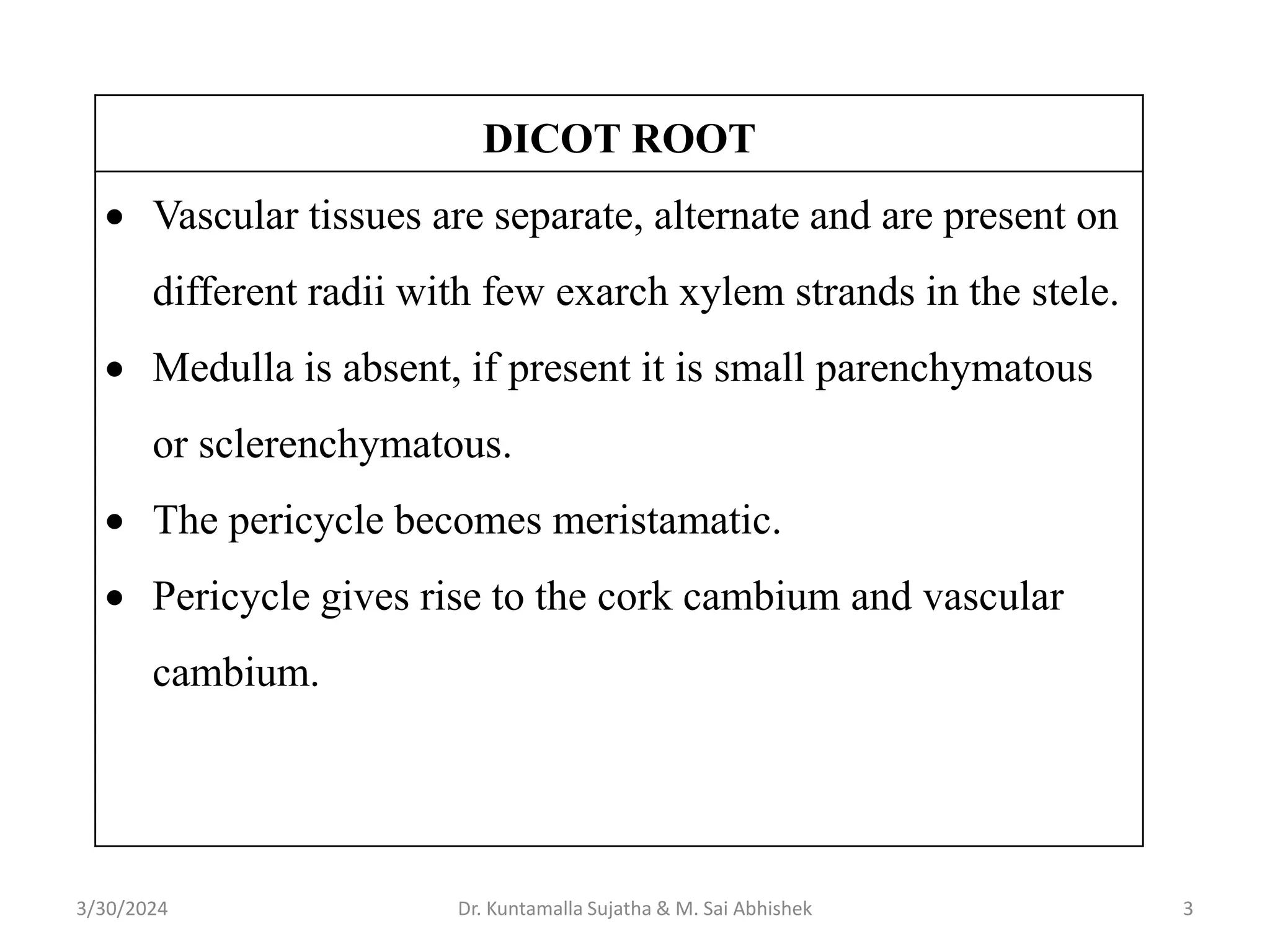 Dicot & Monocot root - structure & functions | PPTX