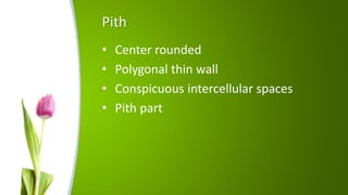 Dicot monocot stem. | PDF