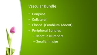 Dicot monocot stem. | PDF