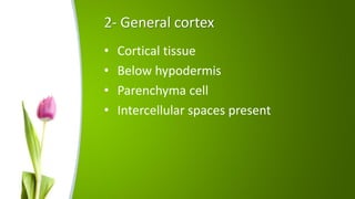 Dicot monocot stem. | PDF