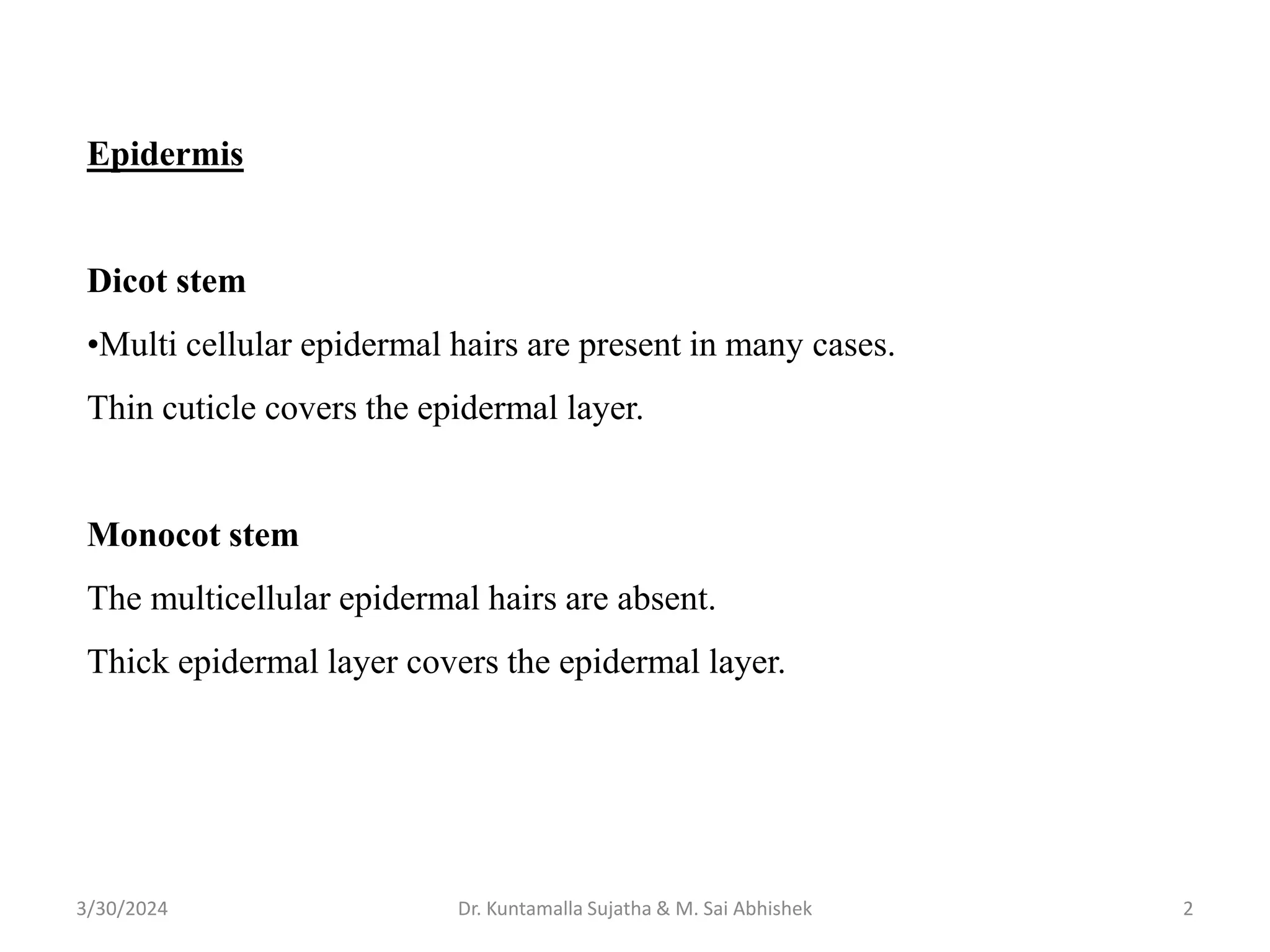Dicot & Monocot Stem - structure & functions | PPTX
