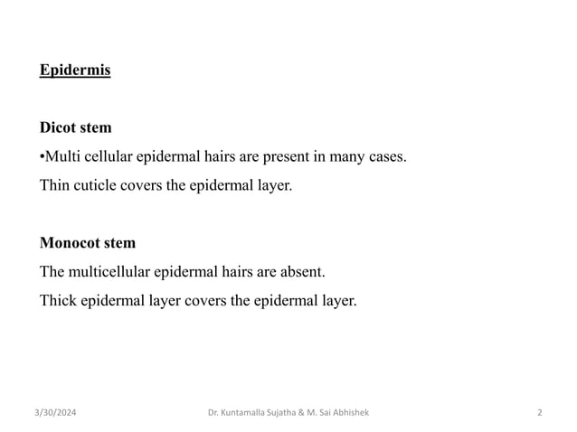 Dicot And Monocot Stem Structure And Functions Pptx Gardening Home And Garden