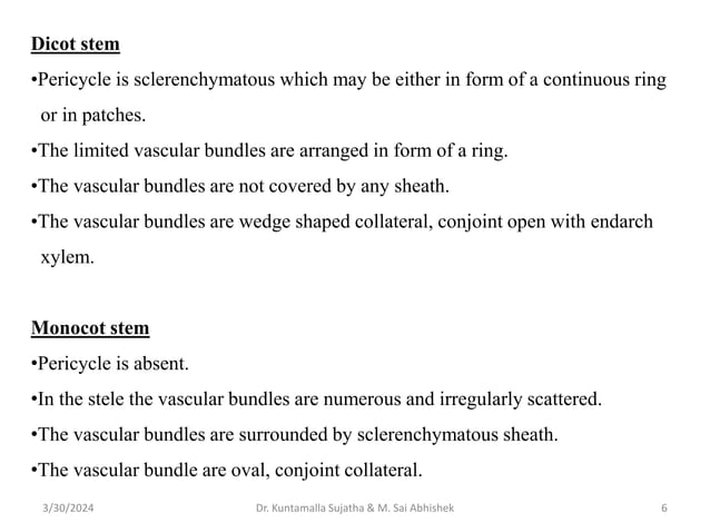 Dicot And Monocot Stem Structure And Functions Pptx Gardening Home And Garden