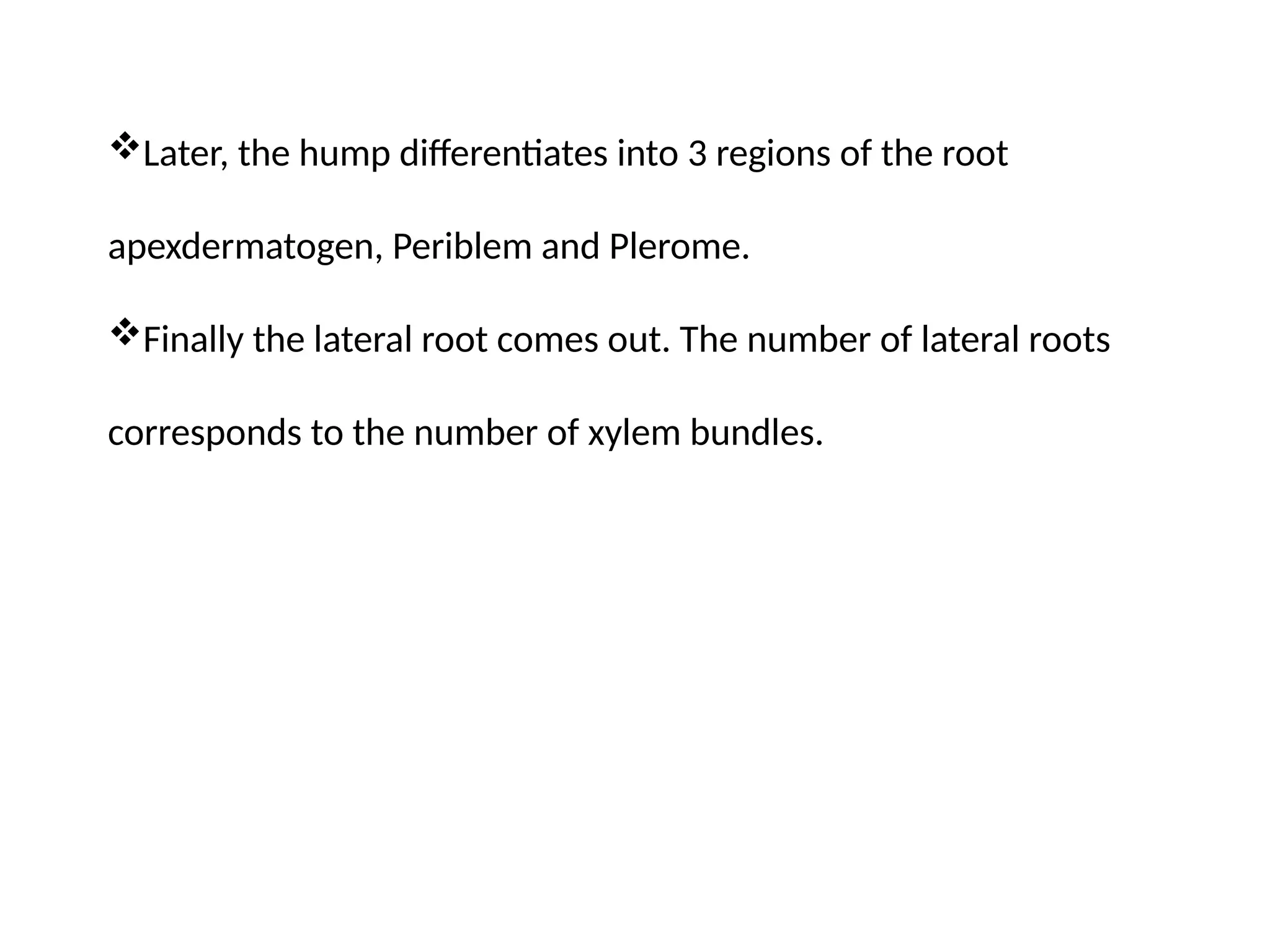 Dicot root-Anatomy.pptxghhbbjjbhjjnjjjjh | PPTX