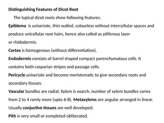 Dicot root-Anatomy.pptxghhbbjjbhjjnjjjjh | PPTX