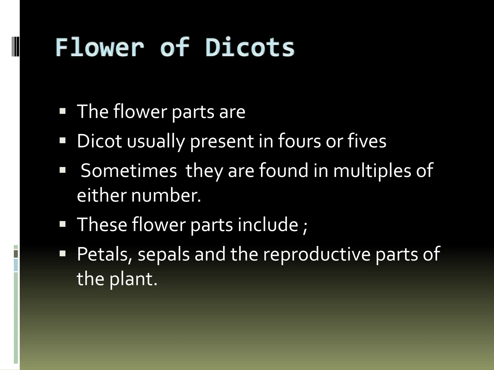 Dicots.pptx