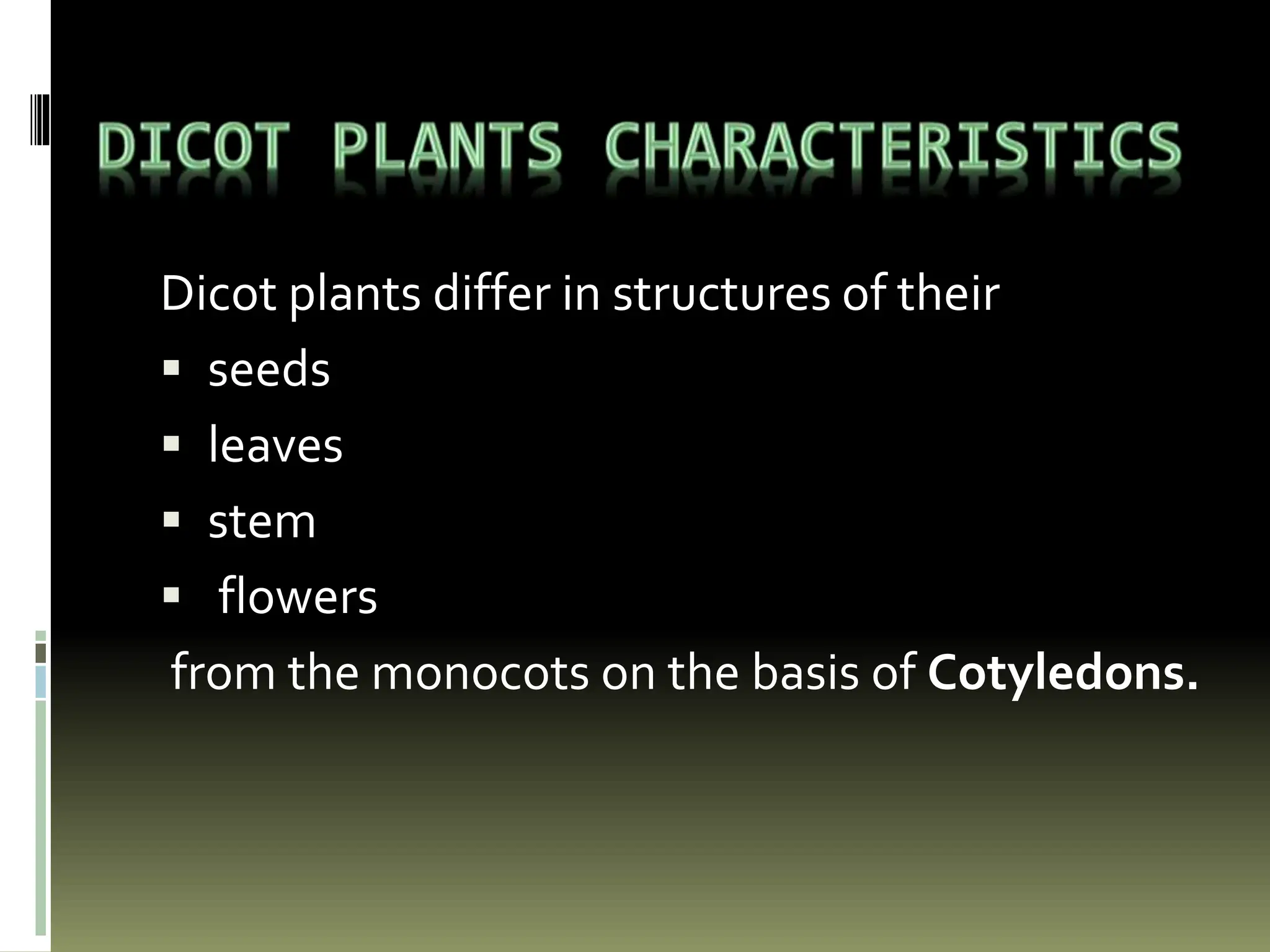 Dicots.pptx