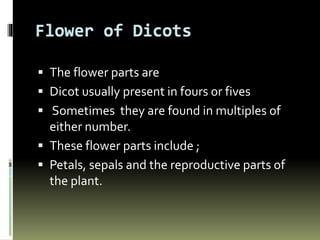 Dicots.pptx