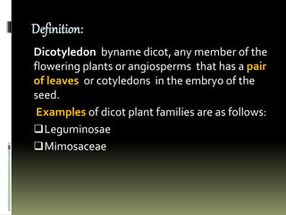 Dicots.pptx