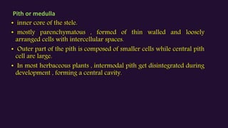 Dicot stem | PPTX | Gardening | Home & Garden