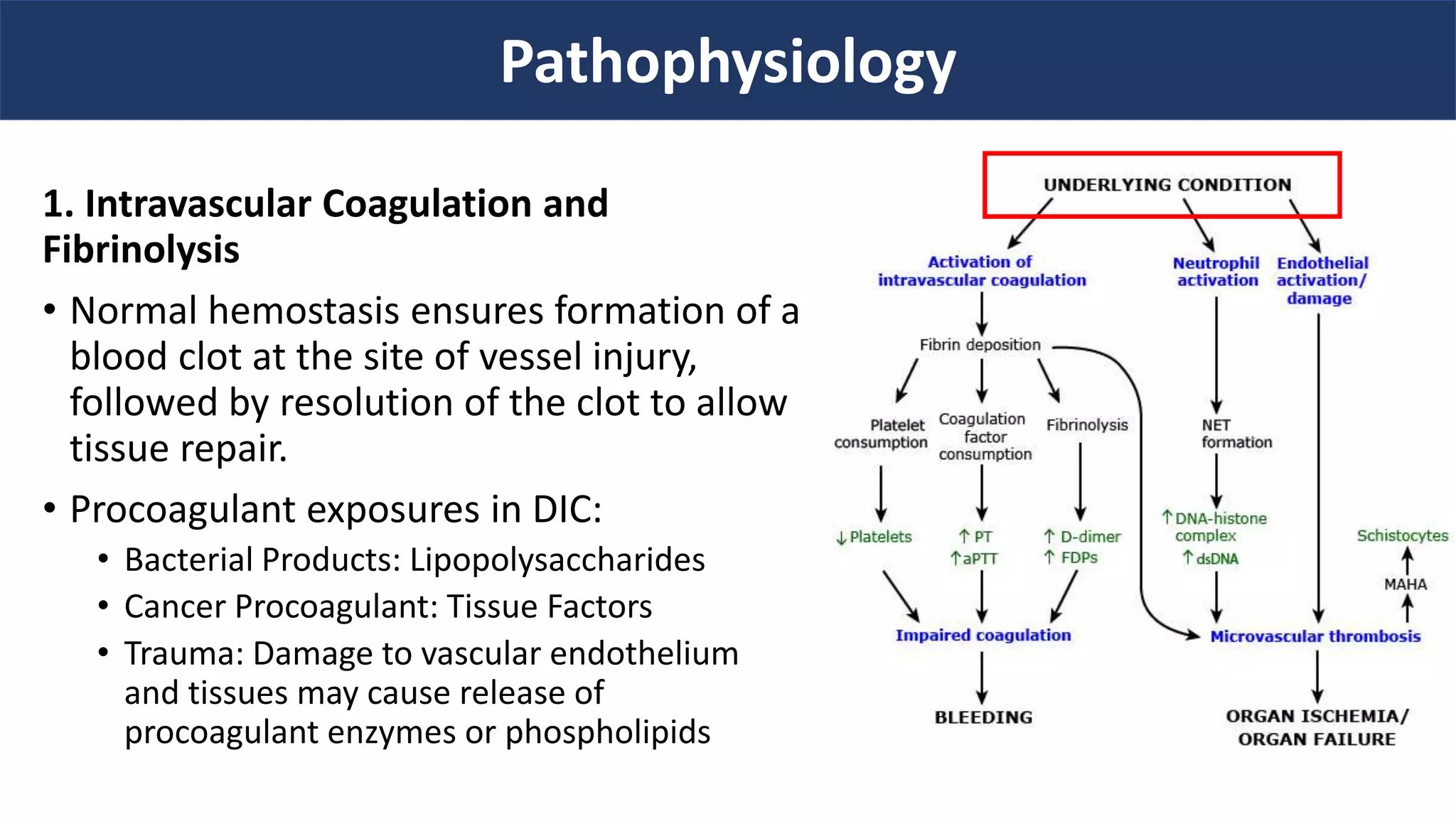 DIC PATHOPHYSIOLOGY.pptx