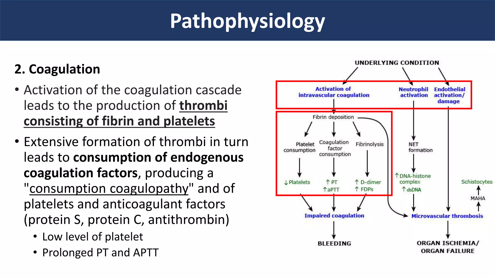 DIC PATHOPHYSIOLOGY.pptx