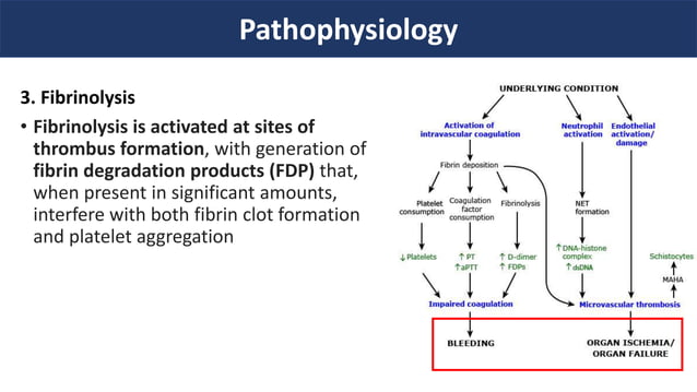 DIC PATHOPHYSIOLOGY.pptx