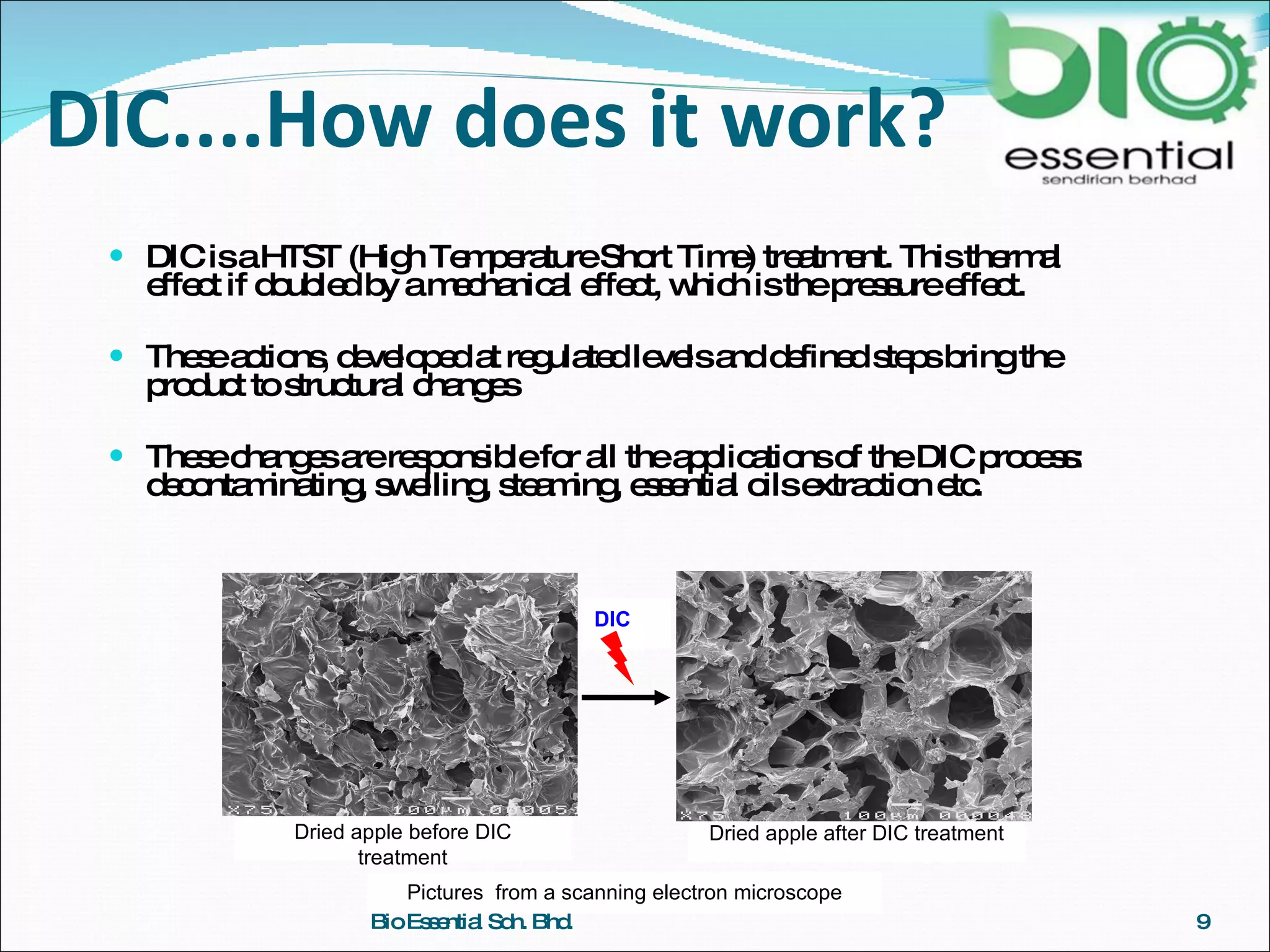 DIC Presentation On 6th August | PPT