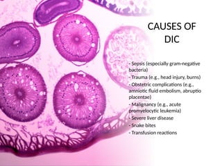 Disseminated Intravascular Coagulation (DIC) Syndrome | PPTX