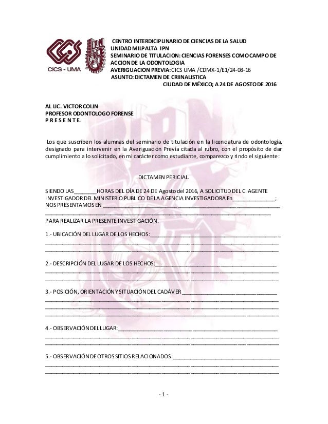 Ejemplo De Dictamen Con Sus Partes