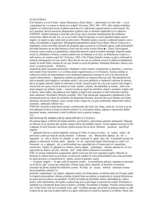 Dictionar de simboluri si arhetipuri culturale ivan evseev | PDF