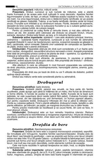 Dictionarul plantelor de leac | PDF